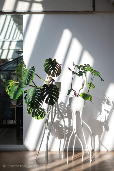 Monstera design planters